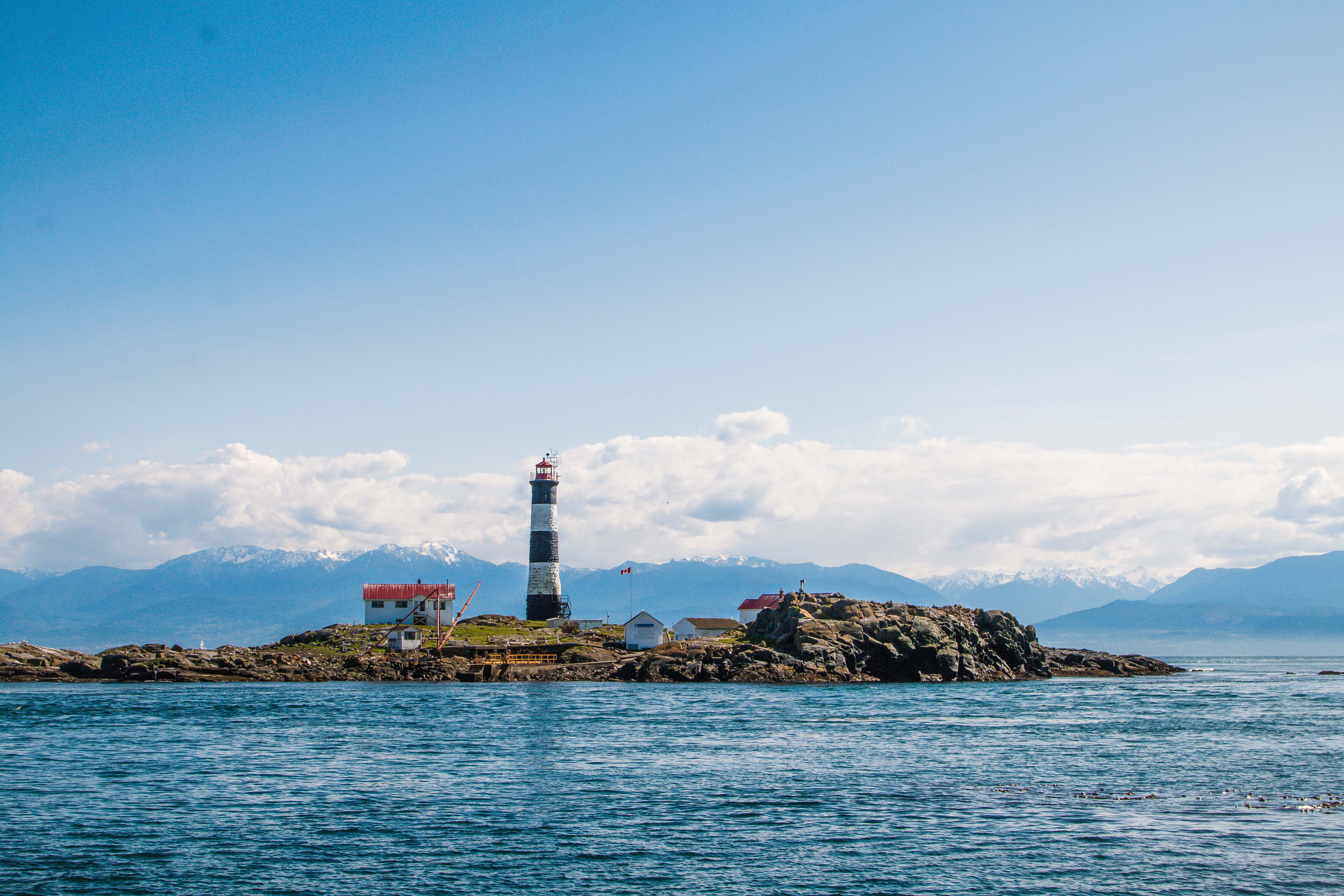 Whale Watching in Sooke, Canada
